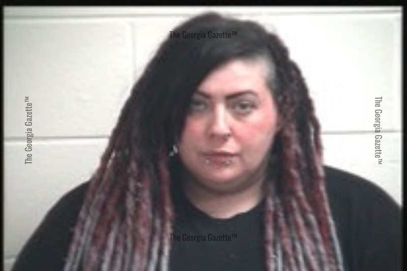 Anna Brooks | Henry County Jail Bookings