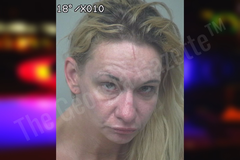 Jessica Cramer — Gwinnett County Jail Bookings