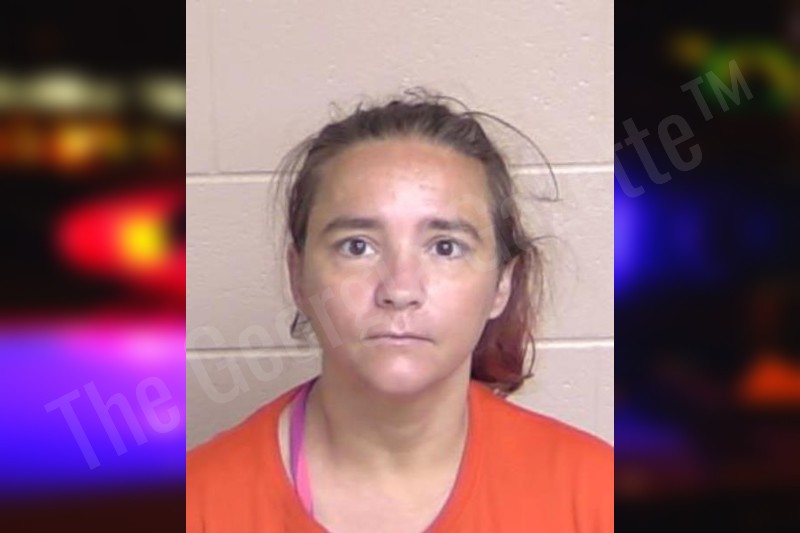 Sandra Collins — Walker County Jail Bookings