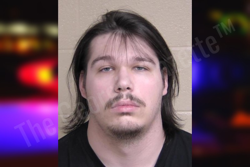 Zachary Dale — Walker County Jail Bookings