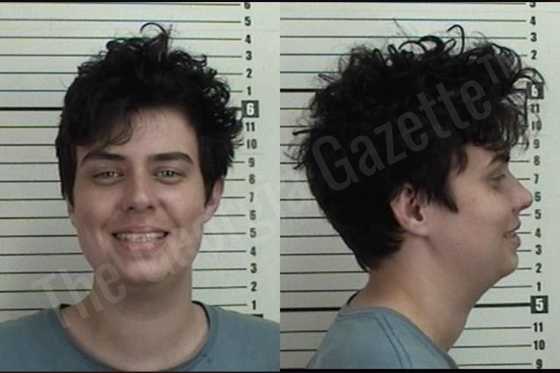 Matthew Dellinger — Camden County Jail Bookings
