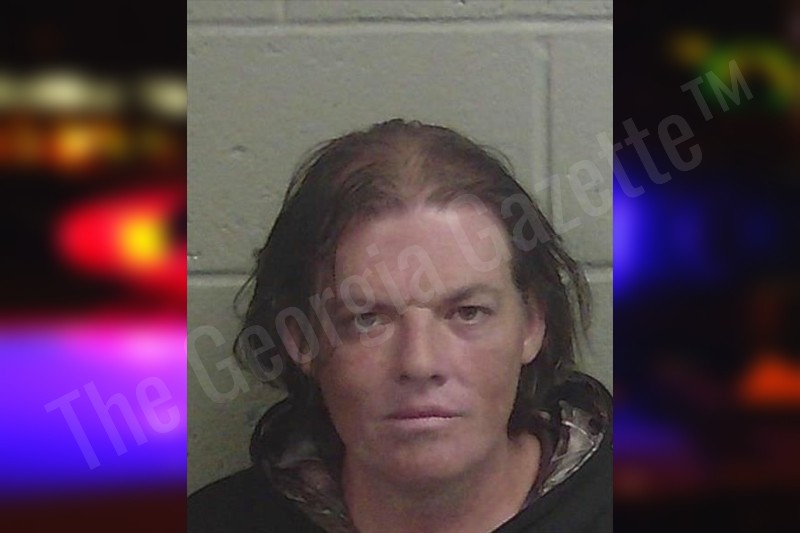 Soren Dillon — Wayne County Jail Bookings