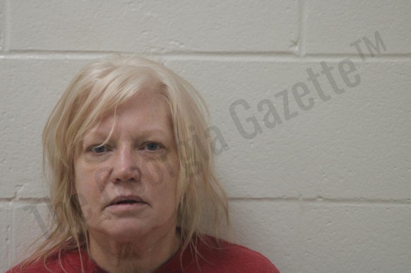 Cynthia Foley — Jones County Jail Bookings