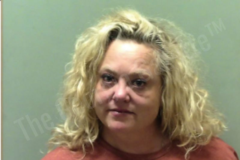 Holly Fletcher — Towns County Jail Bookings