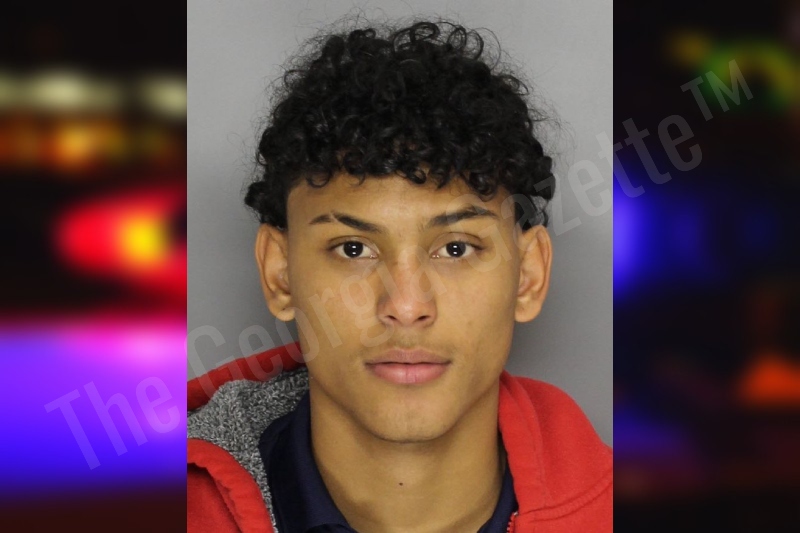 Jassel Gonzalez — Cobb County Jail Bookings