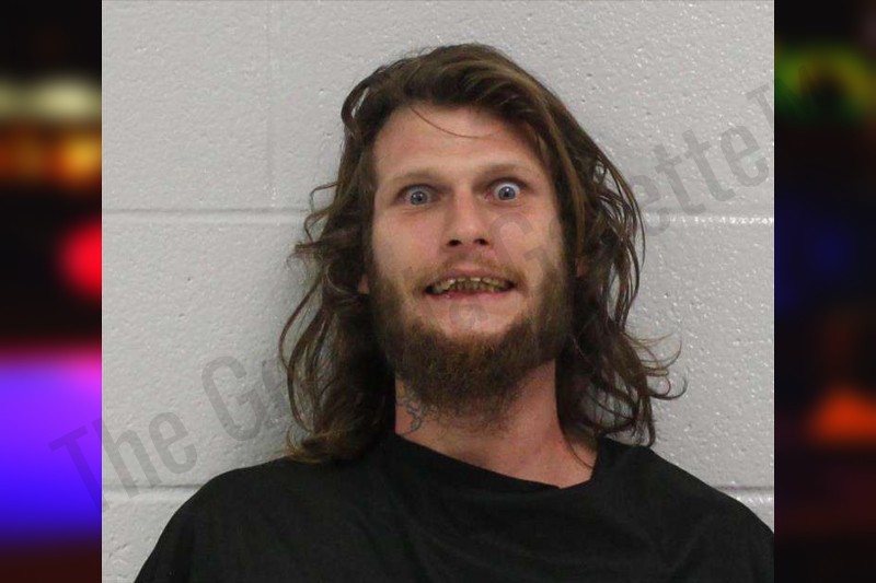 Michael Hayes — Carroll County Jail Bookings