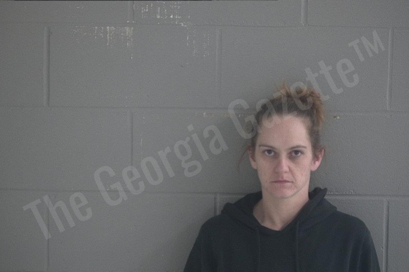 Anna Hooper — Brantley County Jail Bookings