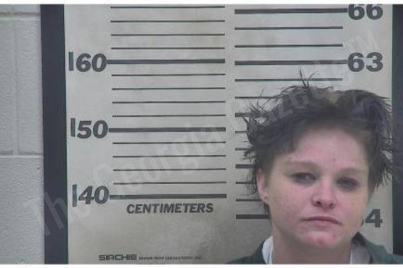 Ashley Haynes — Coffee County Jail Bookings