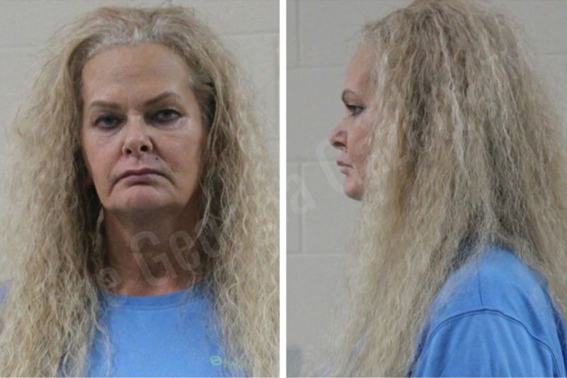 Connie Irwin — Houston County Jail Bookings