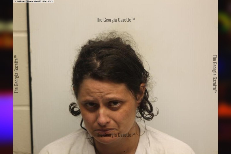 Courtney Johnson — Chatham County Jail Bookings