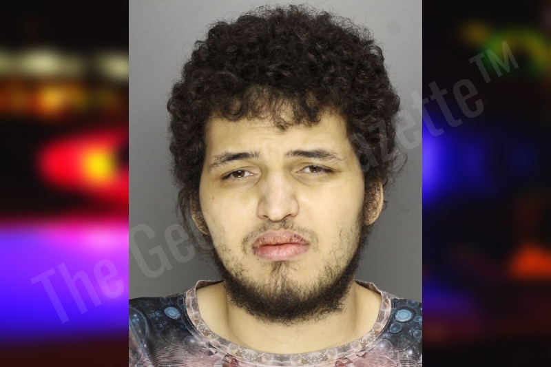 Tyler Lyle — Cobb County Jail Bookings