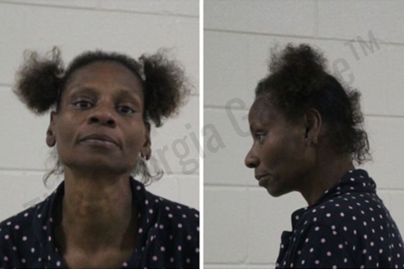 Tonja Lawson — Houston County Jail Bookings