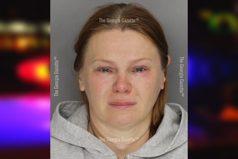 Hanna McLaughlin — Cobb County Jail Bookings