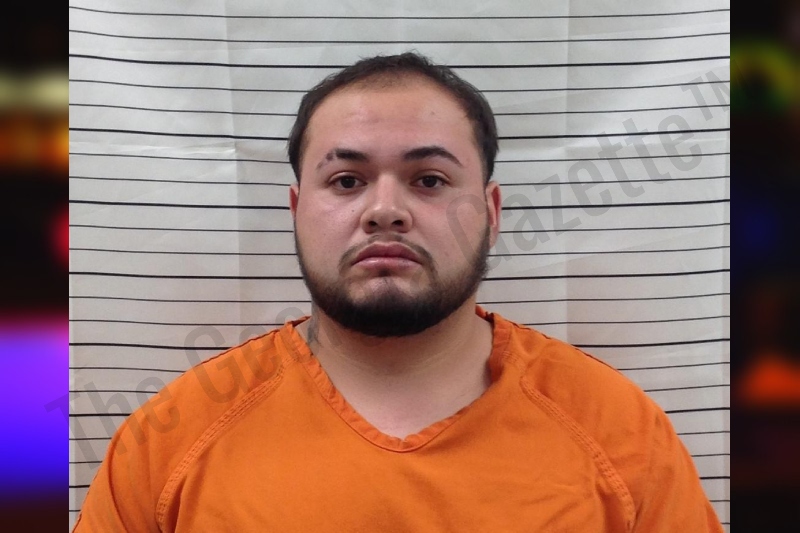 Manuel Magana — Pickens County Jail Bookings