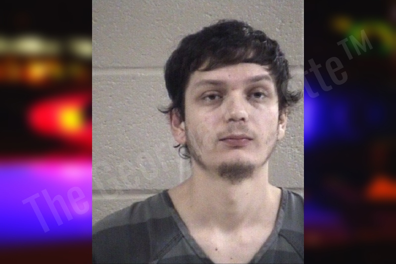 Mario Celis — Whitfield County Jail Bookings