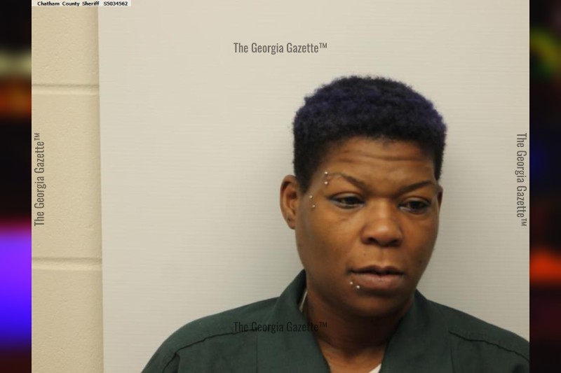 Elaine Mercer — Chatham County Jail Bookings