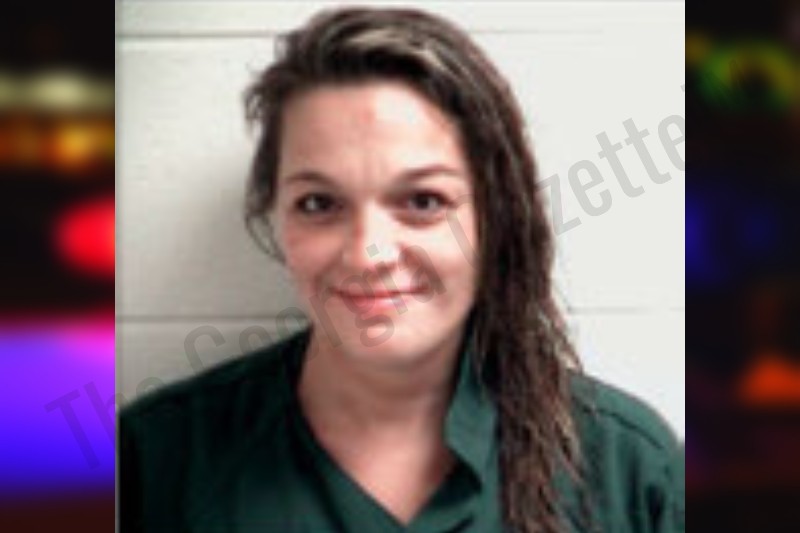 Taylor Patton — Henry County Jail Bookings