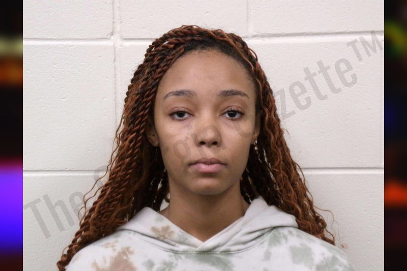 Ashley Pope — Bulloch County Jail Bookings