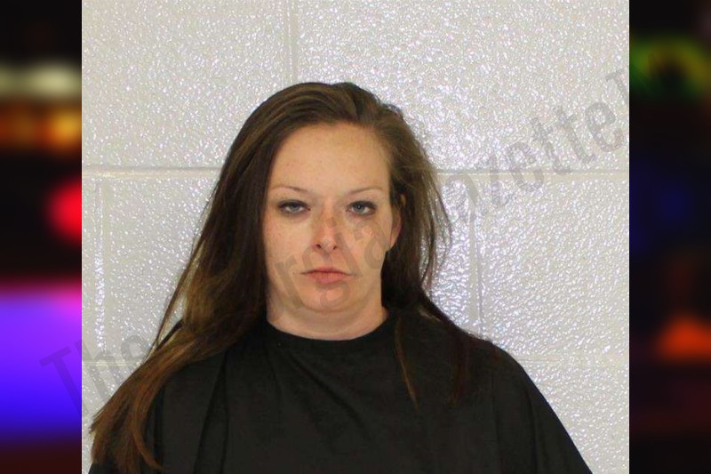 Danielle Rogers — Carroll County Jail Bookings