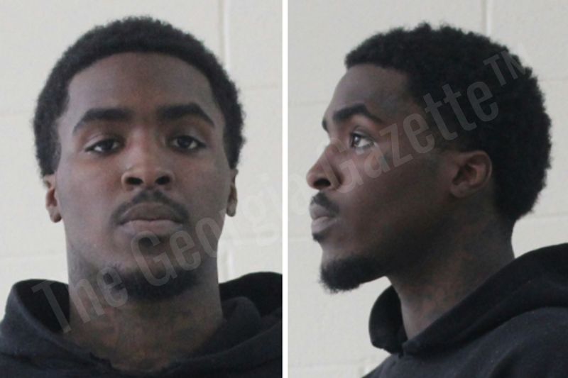 Jaidyn Rumph — Houston County Jail Bookings