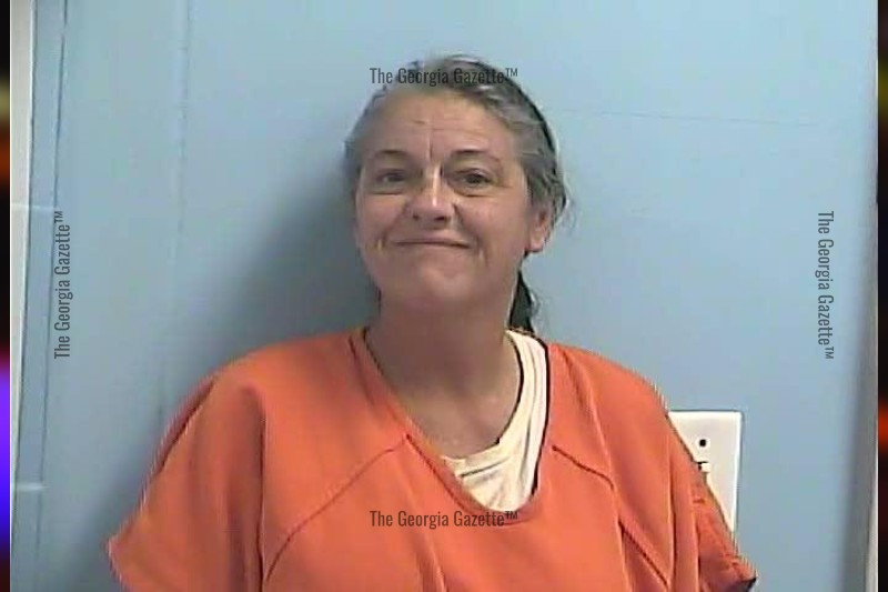 Kelley Sanders — Dawson County Jail Bookings