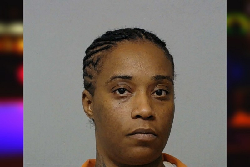 Sheena Sanders — Bibb County Jail Bookings