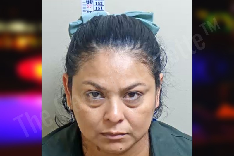 Yolanda Vasquez-De Los Santo — Gwinnett County Jail Bookings