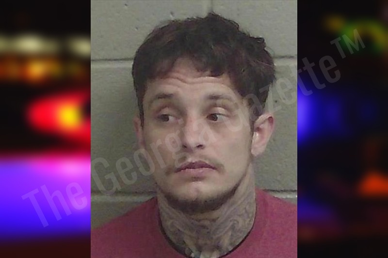 Kyle Williams — Wayne County Jail Bookings