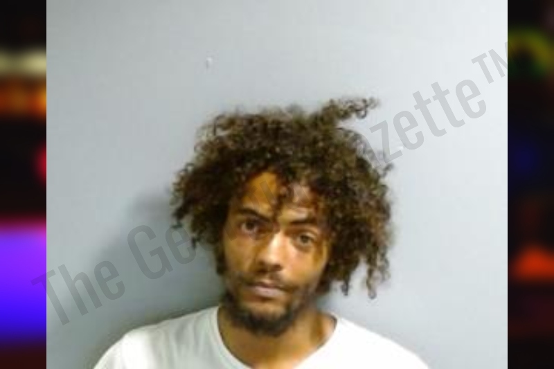 Alexander Allen Vinson — Fulton County