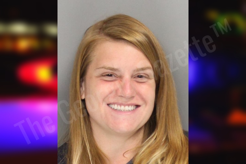 Faye Allison — Cobb County Jail Bookings