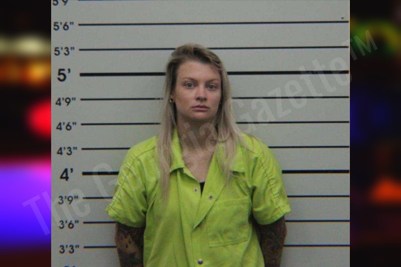 Brooke Armoney — Turner County Jail Bookings