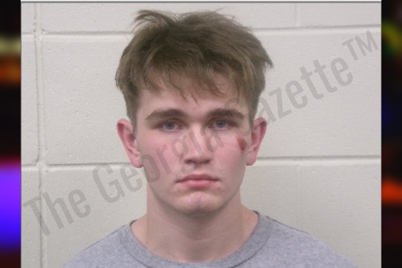 Ethan Abbot — Bulloch County Jail Bookings