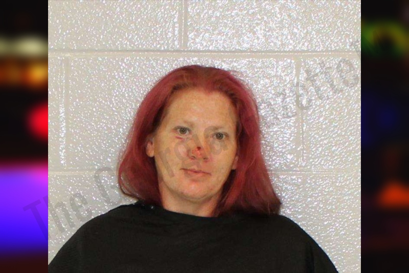 Jessica Bailey — Carroll County Jail Bookings