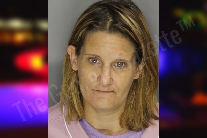 Heather Beeler — Cobb County Jail Bookings