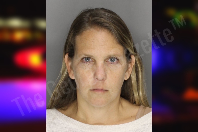 Kristen Behringer — Cobb County Jail Bookings