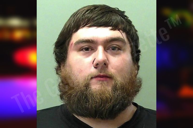 Steven Blevins — Towns County Jail Bookings