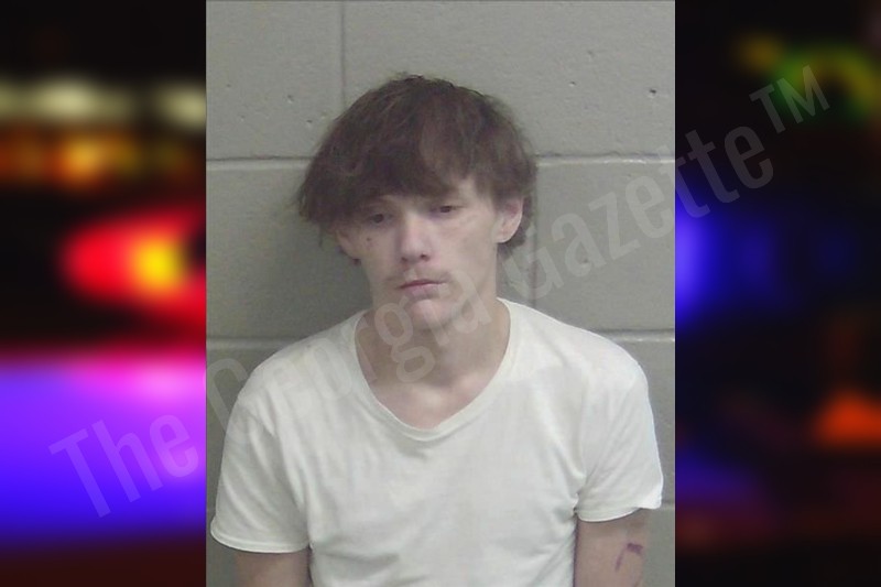 Andrew Blocker — Wayne County Jail Bookings