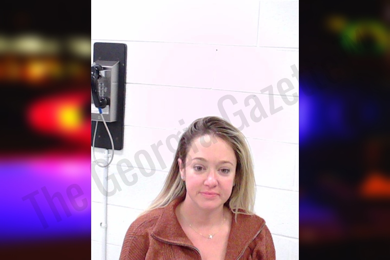 Fallon Brink — Fulton County Jail Bookings