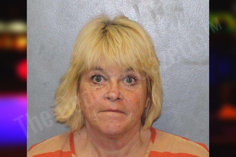 Meloney Bruce — White County Jail Bookings