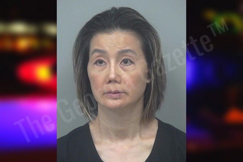 Elaine Cheung — Gwinnett County Jail Bookings