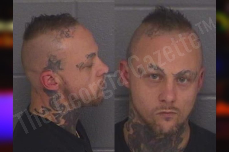 Phillip Chapman — Barrow County Jail Bookings