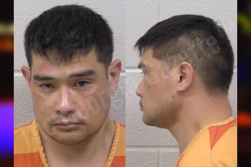 Brian Chee — Paulding County Jail Bookings