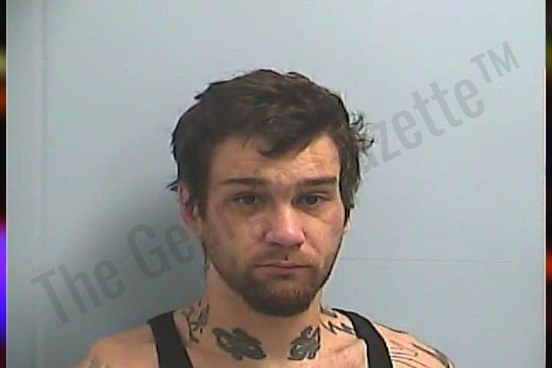 Tyler Collins — Dawson County Jail Bookings