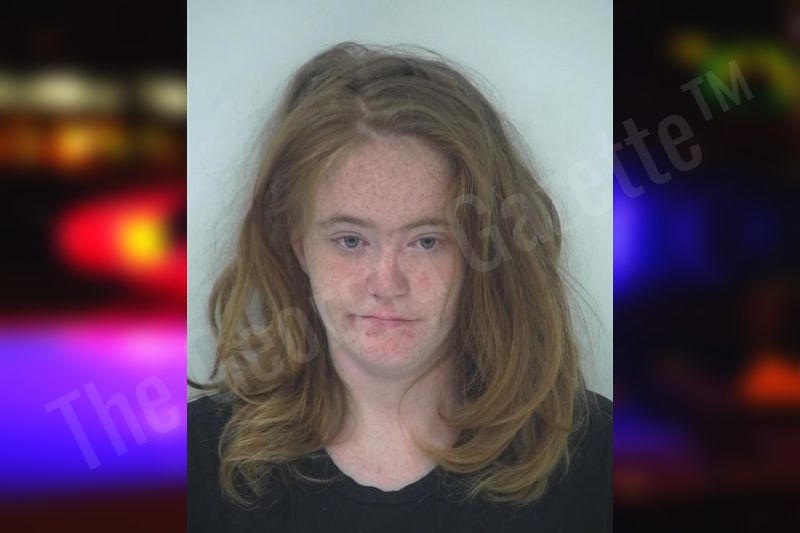 Amber Cribb — Fayette County Jail Bookings