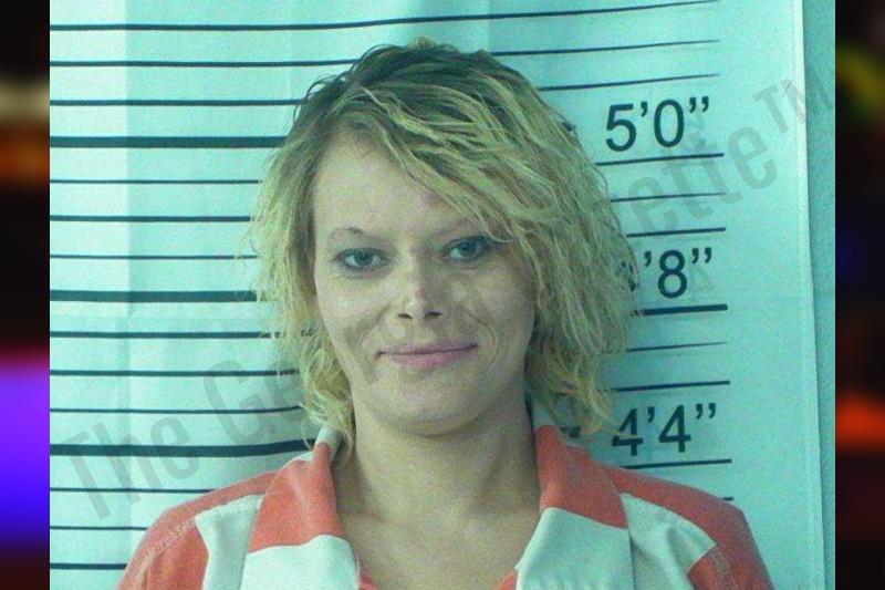 Katelyn Davis — Stephens County Jail Bookings