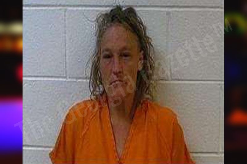 Kristen Degner — Polk County Jail Bookings