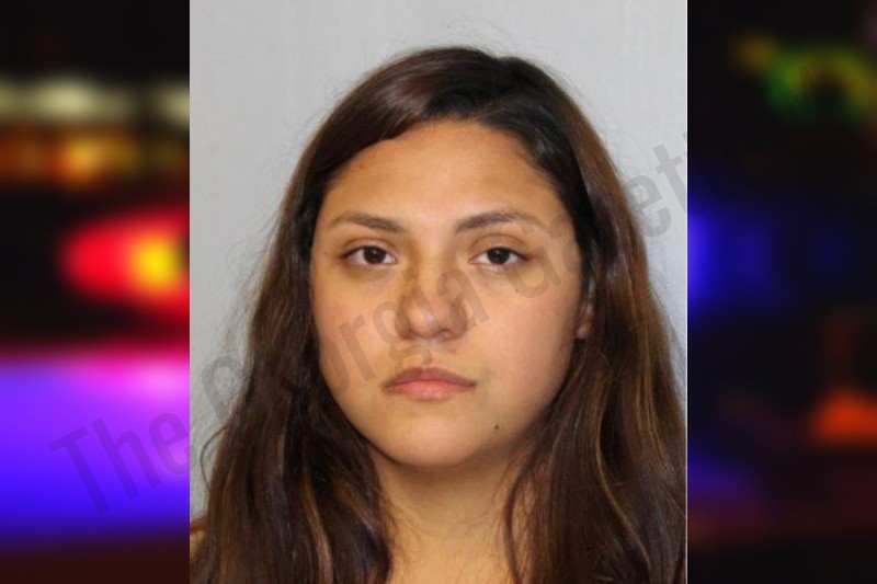 Maria Esquivel — Hall County Jail Bookings