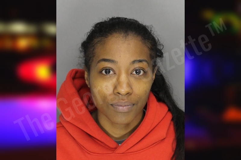 Nastassia Goines — Cobb County Jail Bookings