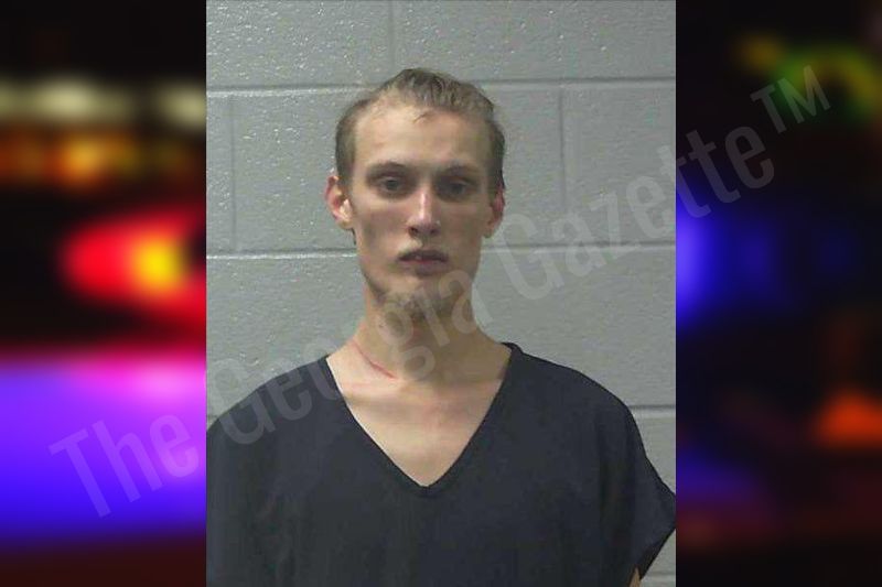 David Goodman — Gilmer County Jail Bookings