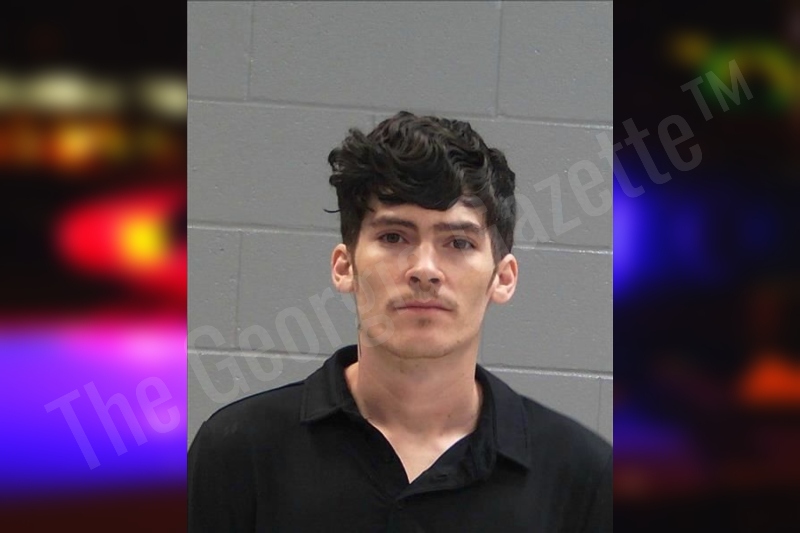 Ethan Hayes — Baldwin County Jail Bookings